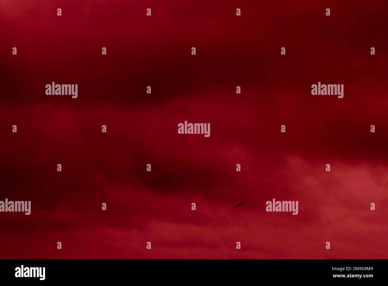 Fiery red sky. Blood clouds. Horror. Background, banner. Horror ...