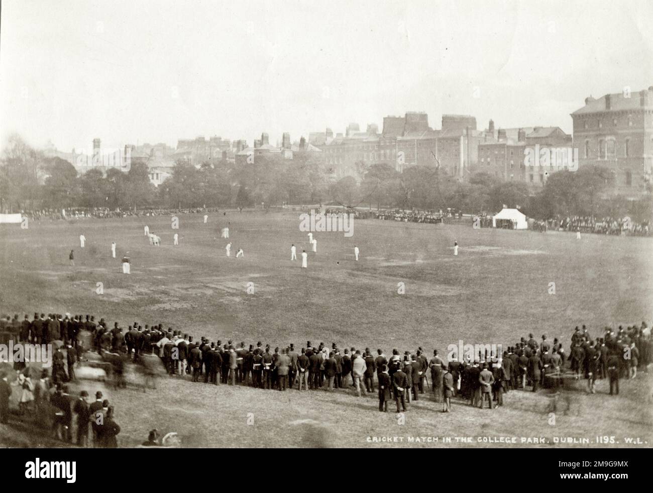 Vintage 19th century photo - cricket match, Trinity College Dublin ...