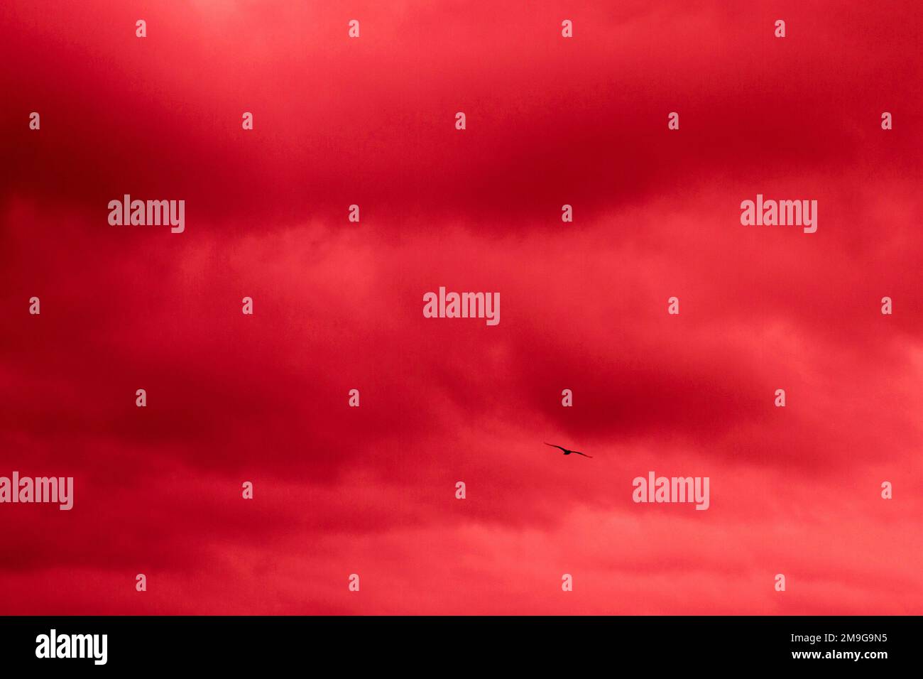 Fiery red sky. Blood clouds. Horror. Background, banner. Horror ...