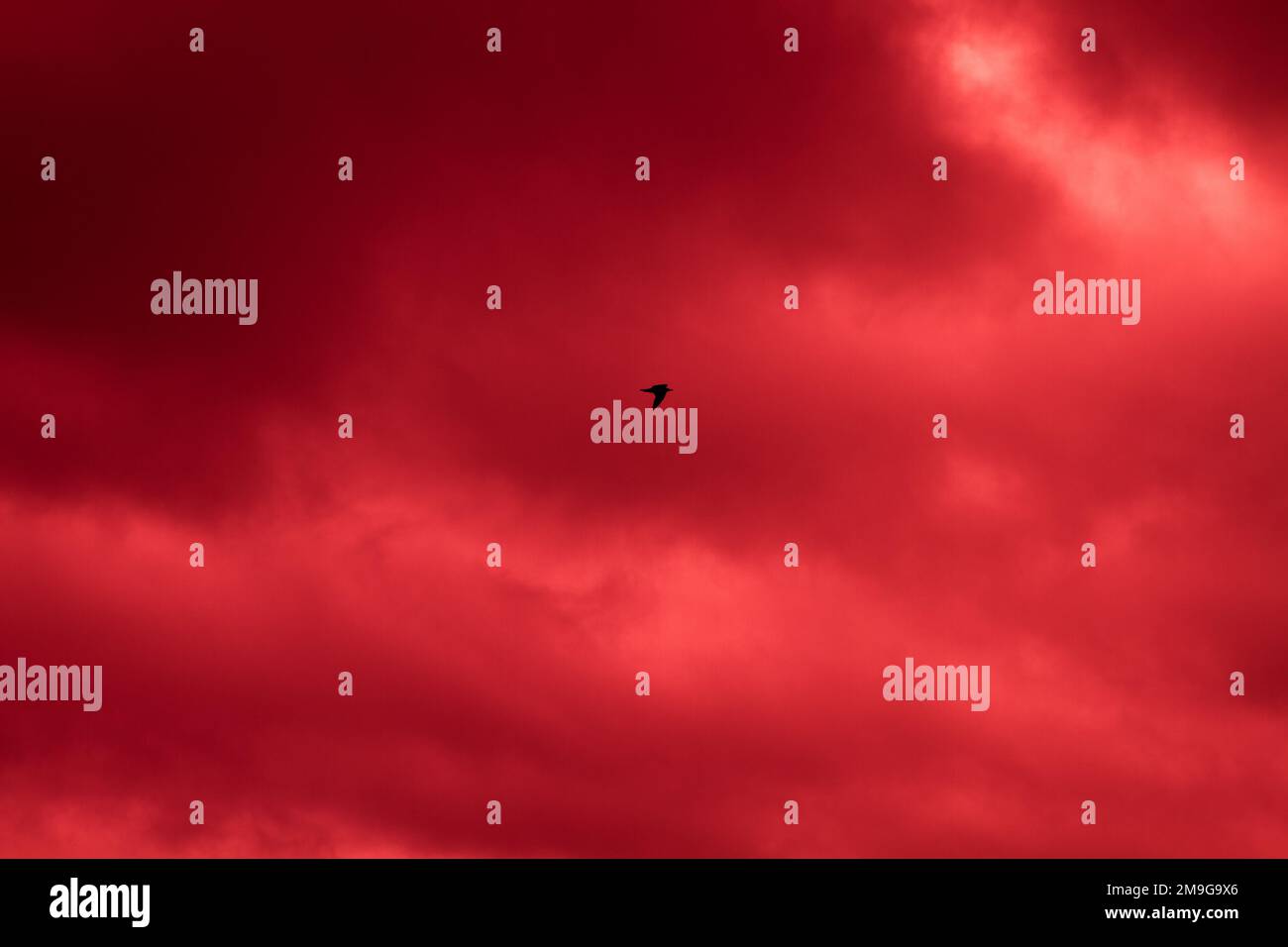 Fiery red sky. Blood clouds. Horror. Background, banner. Horror ...