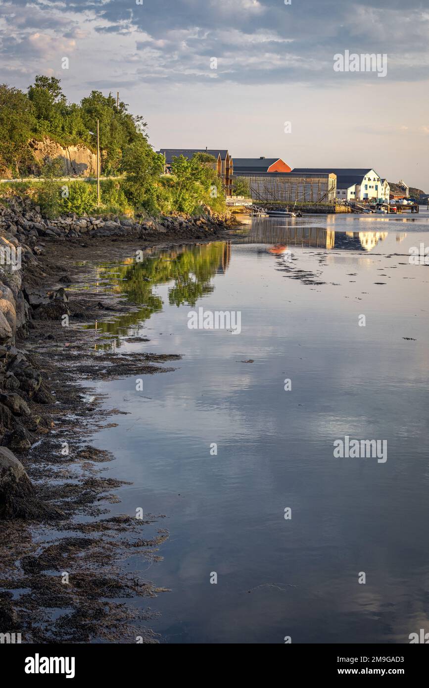 Svolvaer harbour at sunset, Lofoten Islands, Nordland, Norway Stock ...