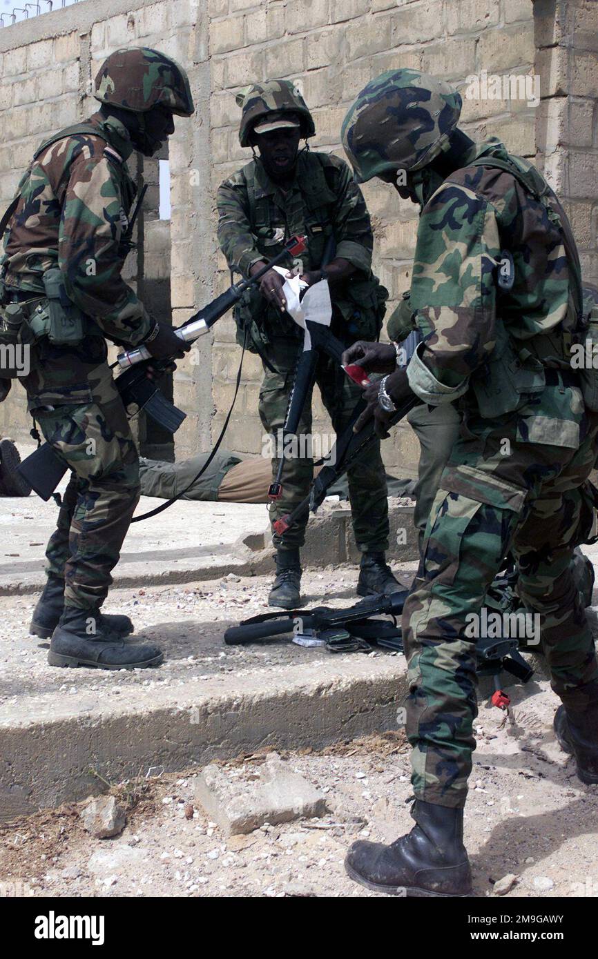 Soldiers of the 1ST Infantry Battalion Senegal Army siege an objective ...