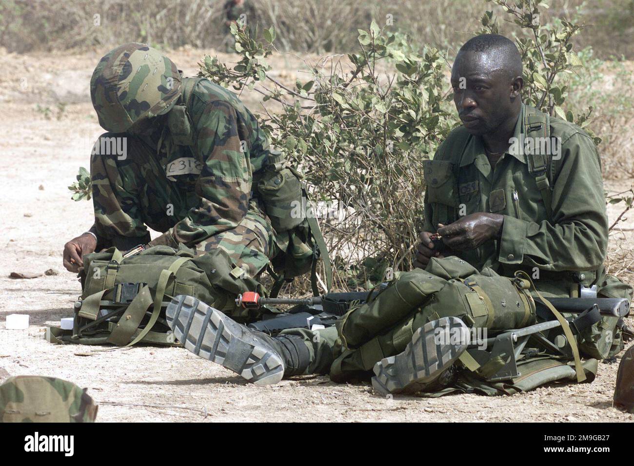 Soldiers of the 1ST Infantry Battalion Senegal Army reload ammunition ...