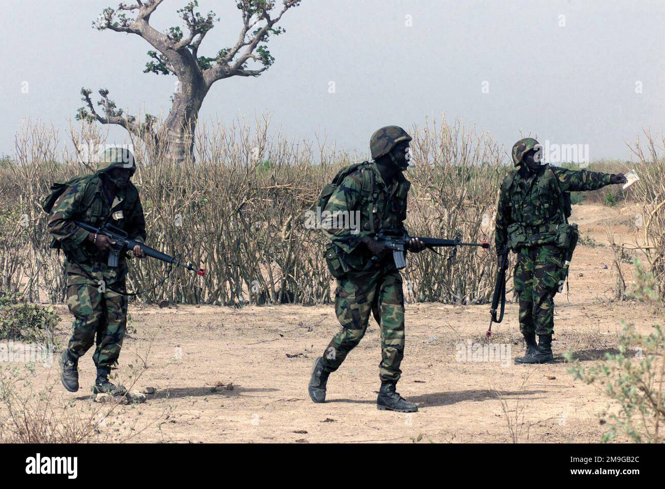 Soldiers of the 1ST Infantry Battalion Senegal Army practice troop ...
