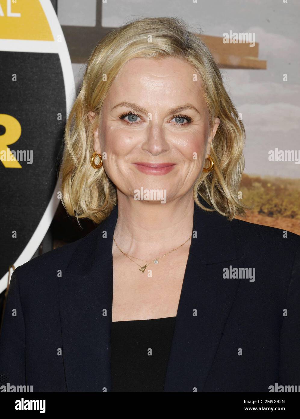 LOS ANGELES, CALIFORNIA - JANUARY 17: Amy Poehler attends the Los ...