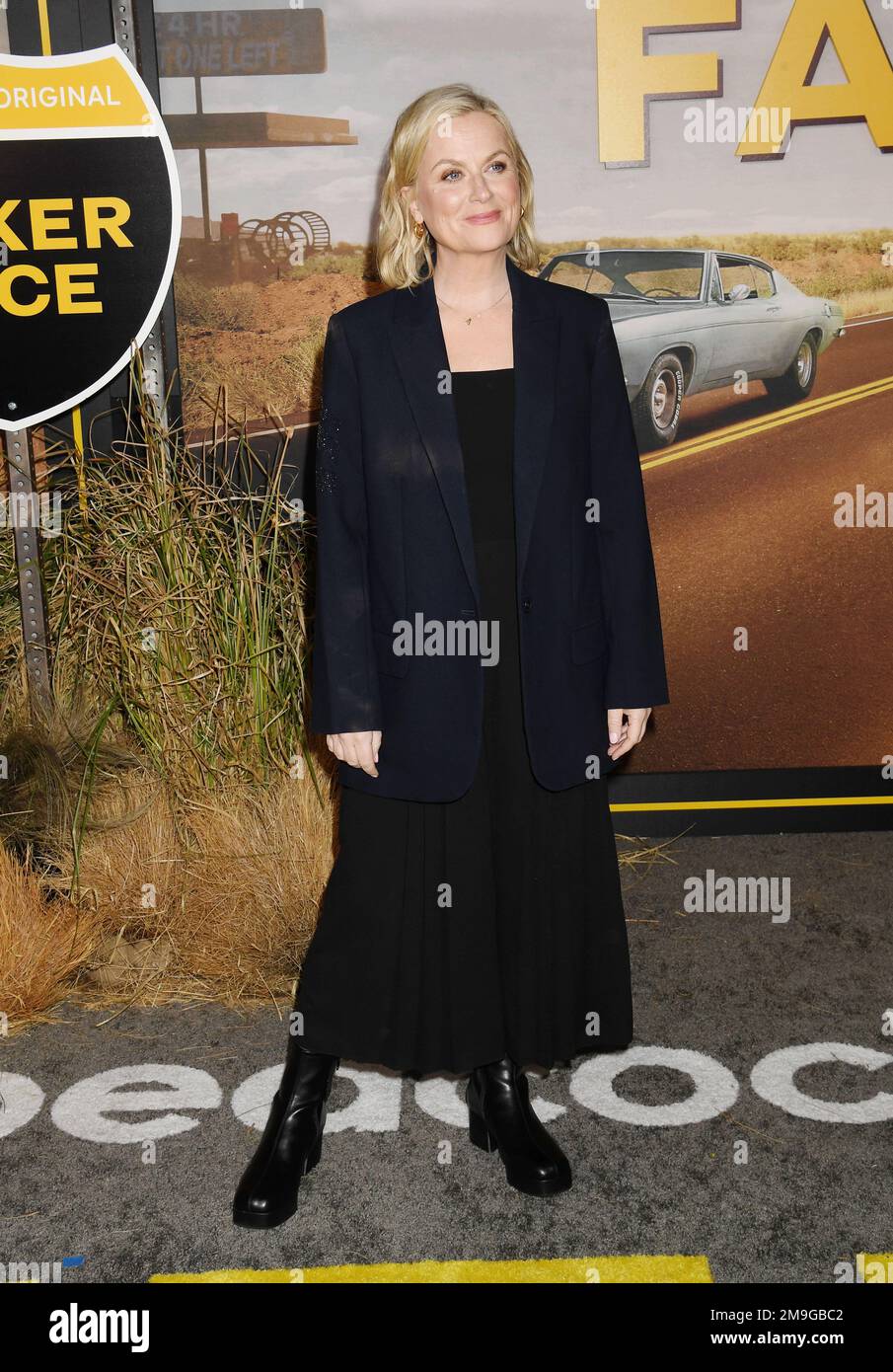 LOS ANGELES, CALIFORNIA - JANUARY 17: Amy Poehler attends the Los ...