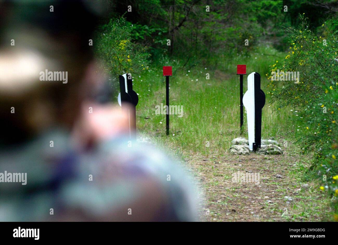 A member of the McConnel Air Force Base, Kansas Security Force Defender ...