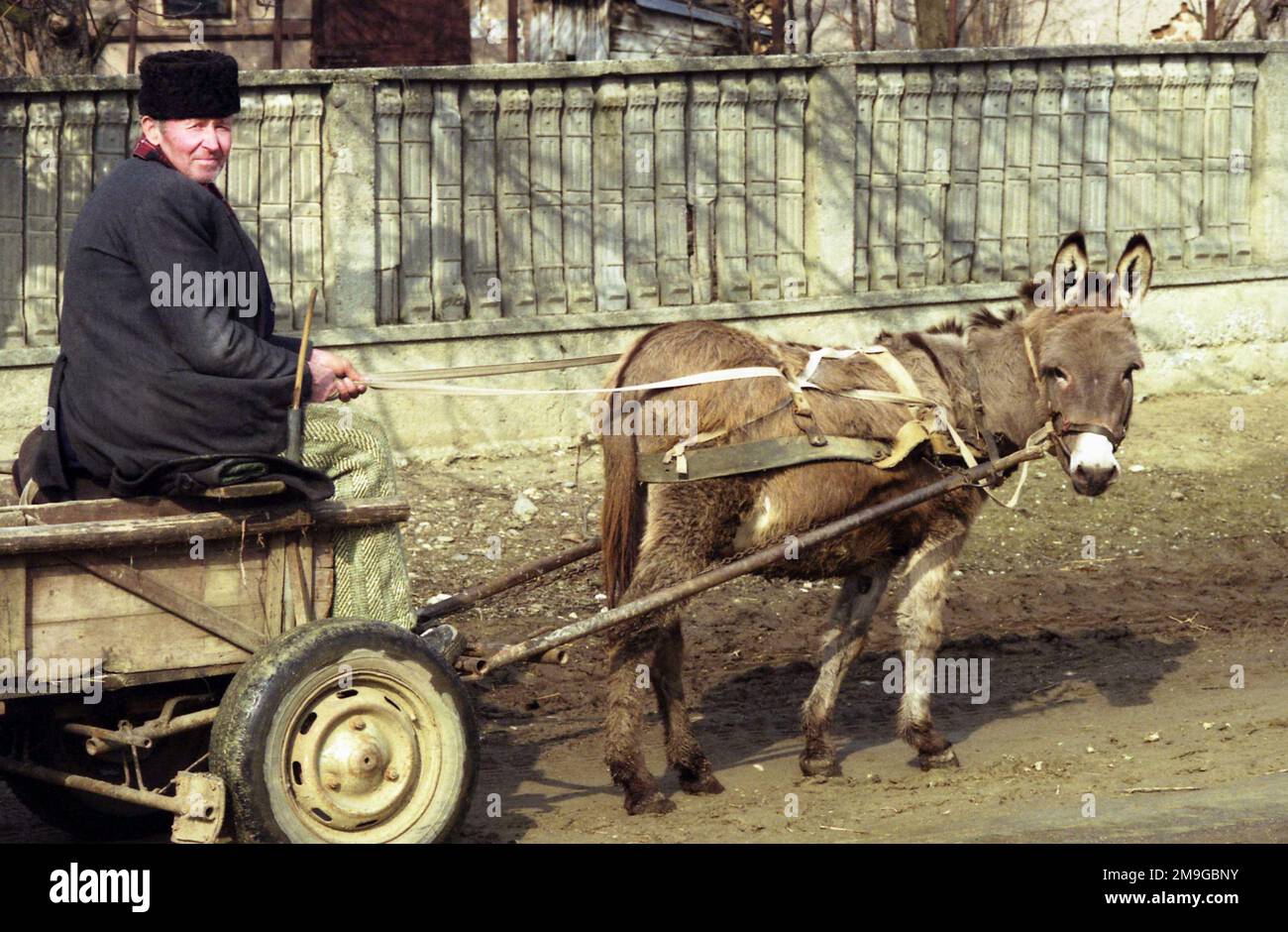 Man on horse drawn wagon hi-res stock photography and images - Alamy