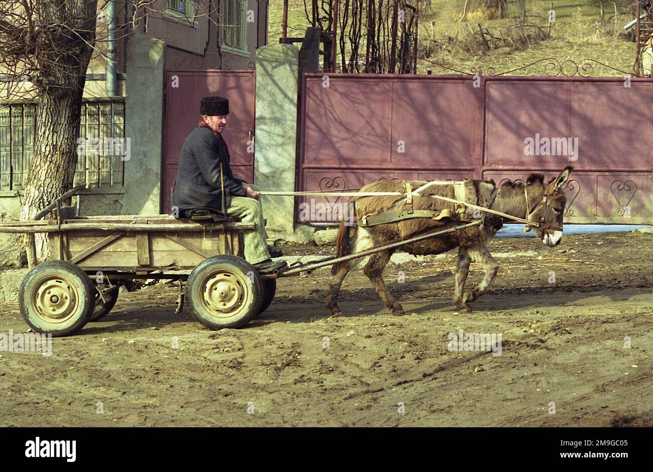 Salaj County, Romania, approx 1999. Local man in a donkey-drawn wagon ...