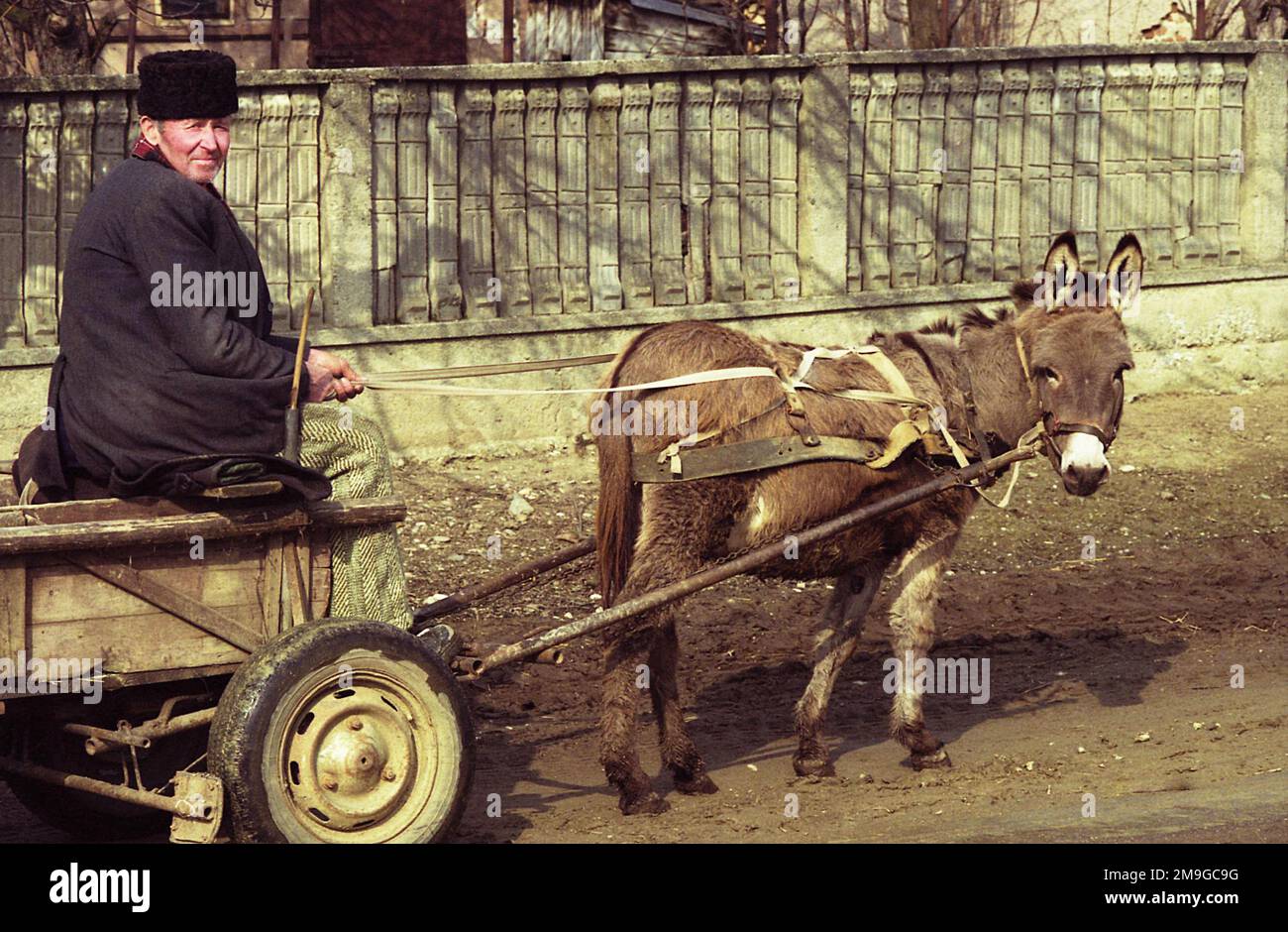 Donkey pulling a wagon hi-res stock photography and images - Alamy