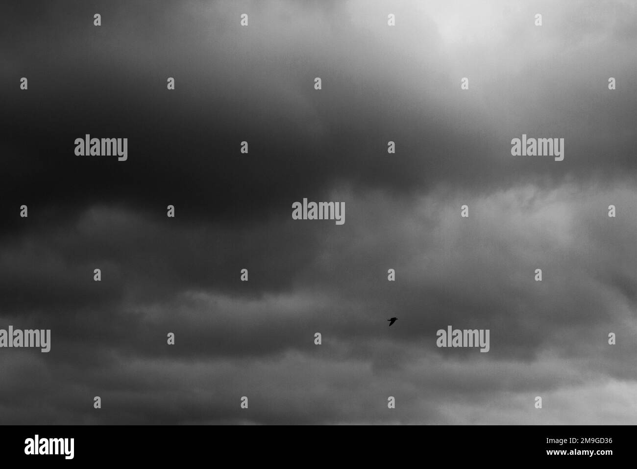 Black and white sky. Dramatic clouds. Horror. Background, banner ...