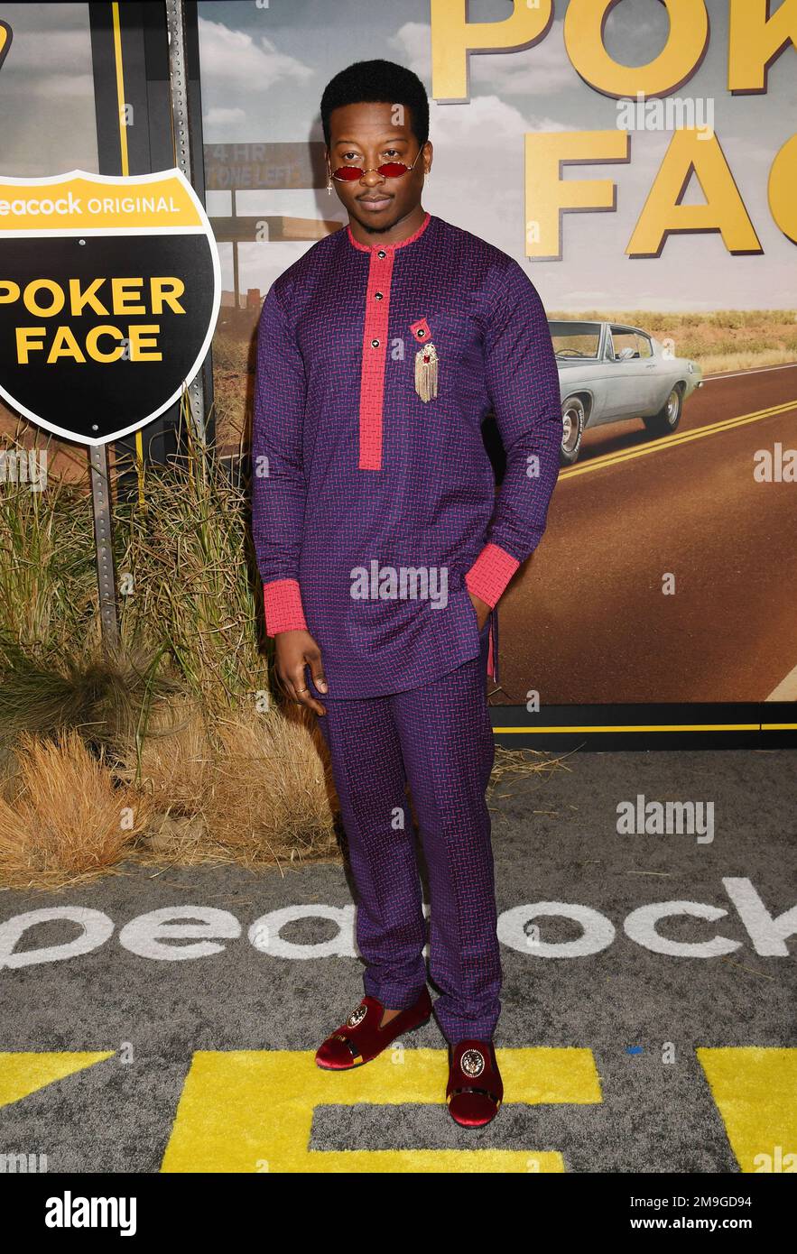 LOS ANGELES, CALIFORNIA - JANUARY 17: Brandon Micheal Hall attends the ...
