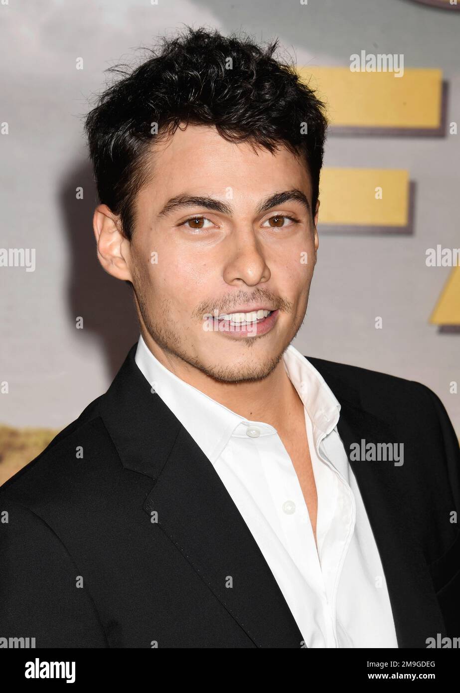 LOS ANGELES, CALIFORNIA - JANUARY 17: Nicholas Cirillo attends the Los ...