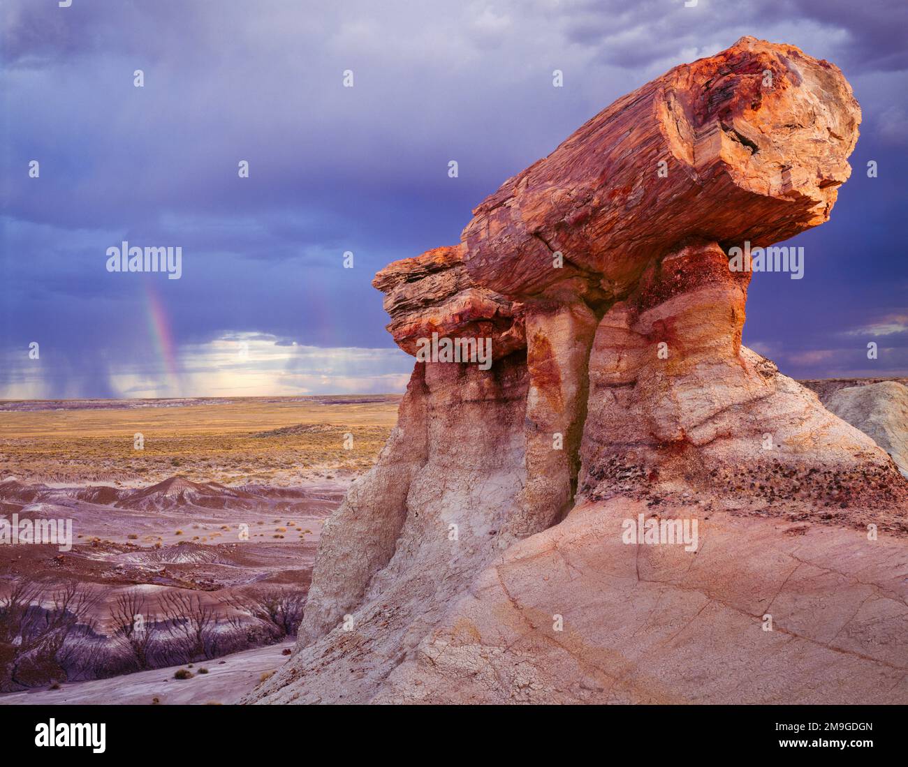 Landscape with rock formation in desert at sunset, Blue Mesa, Petrified ...