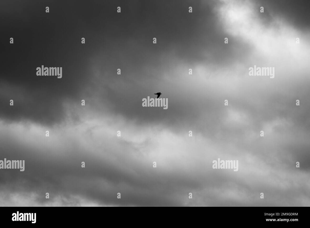 Black and white sky. Dramatic clouds. Horror. Background, banner ...