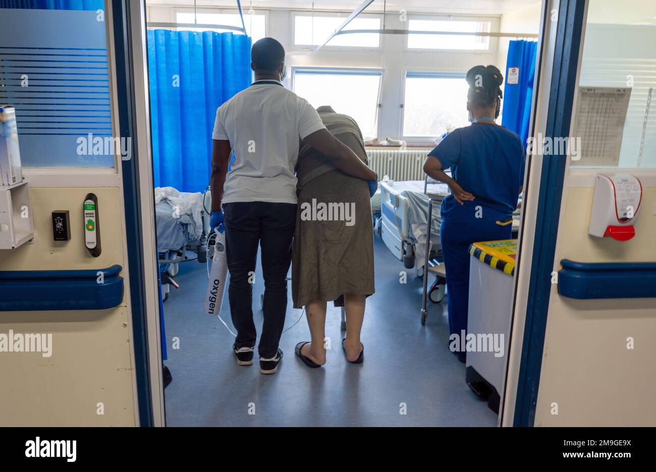 A general view of staff on a NHS hospital ward at Ealing Hospital in ...