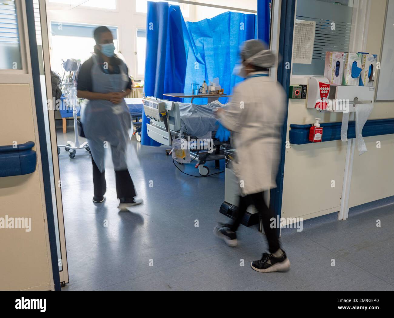 A general view of staff on a NHS hospital ward at Ealing Hospital in ...