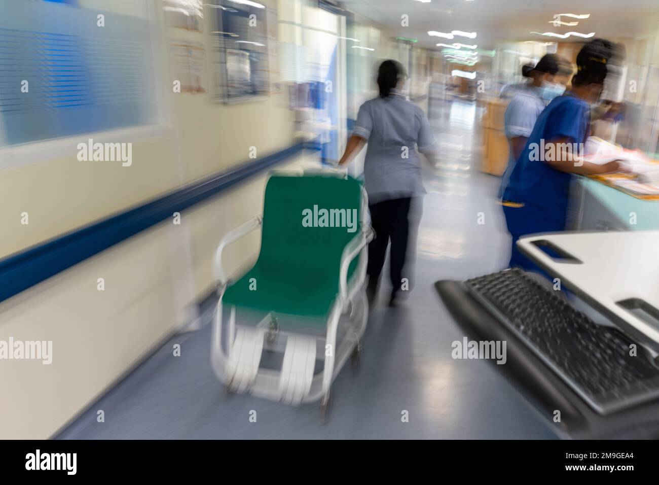 A general view of staff on a NHS hospital ward at Ealing Hospital in ...