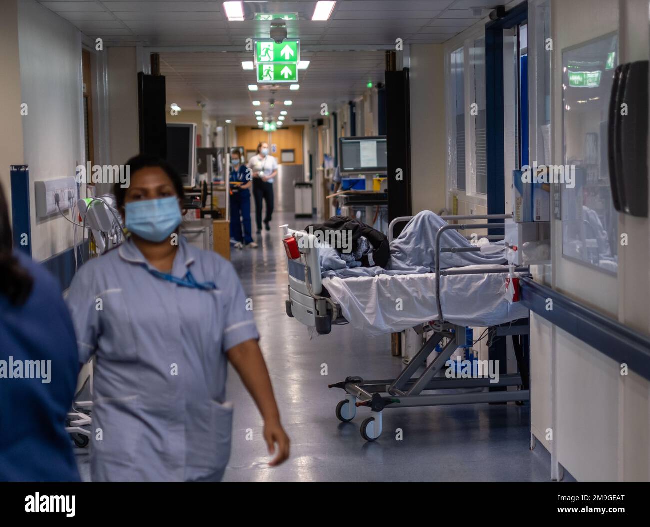 A general view of staff on a NHS hospital ward at Ealing Hospital in ...