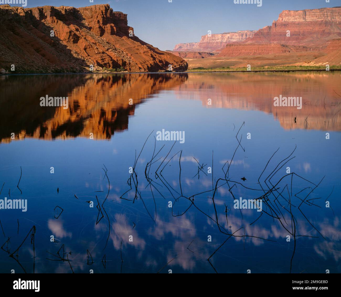 Landscape with Colorado River and Lees Ferry in background, Vermilion ...