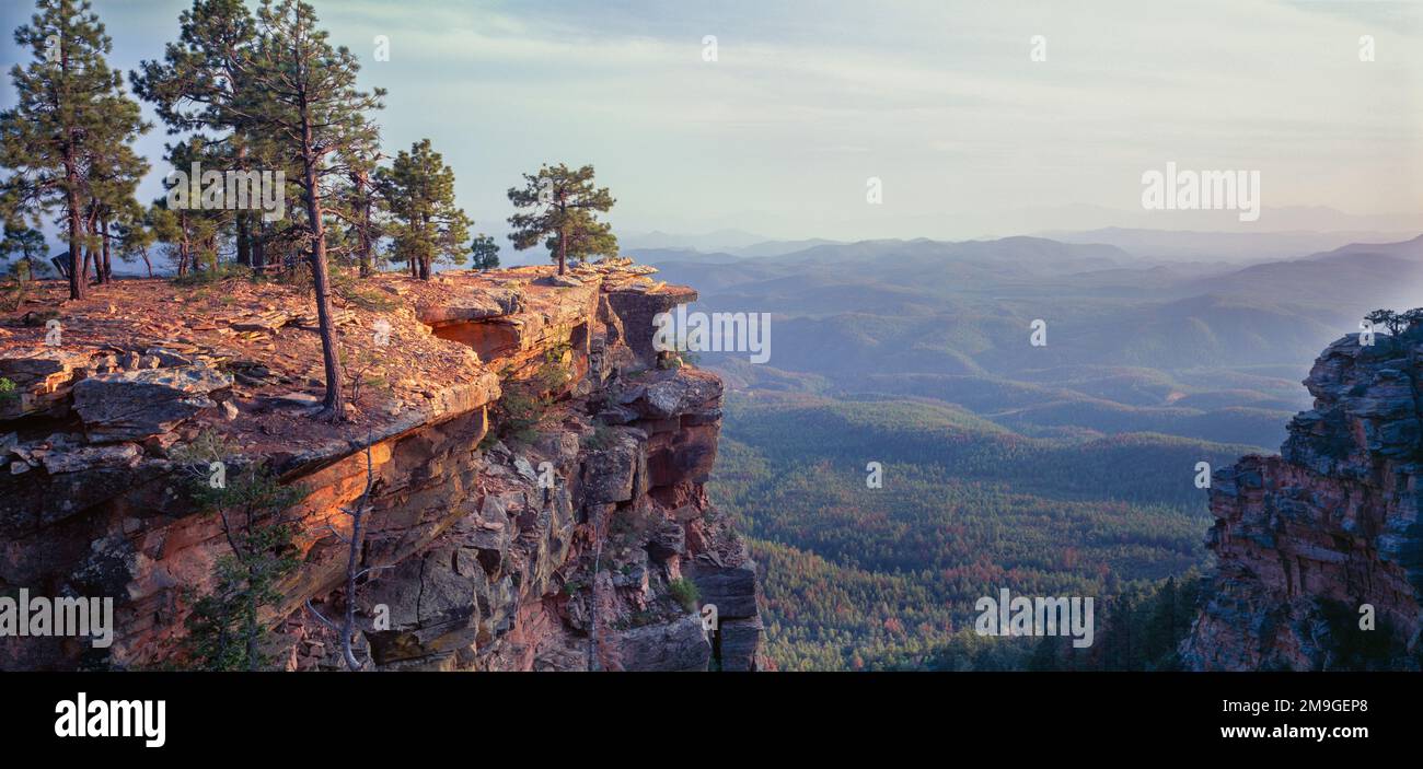 Landscape with trees on cliffs, Promontory Butte, General George Crook ...