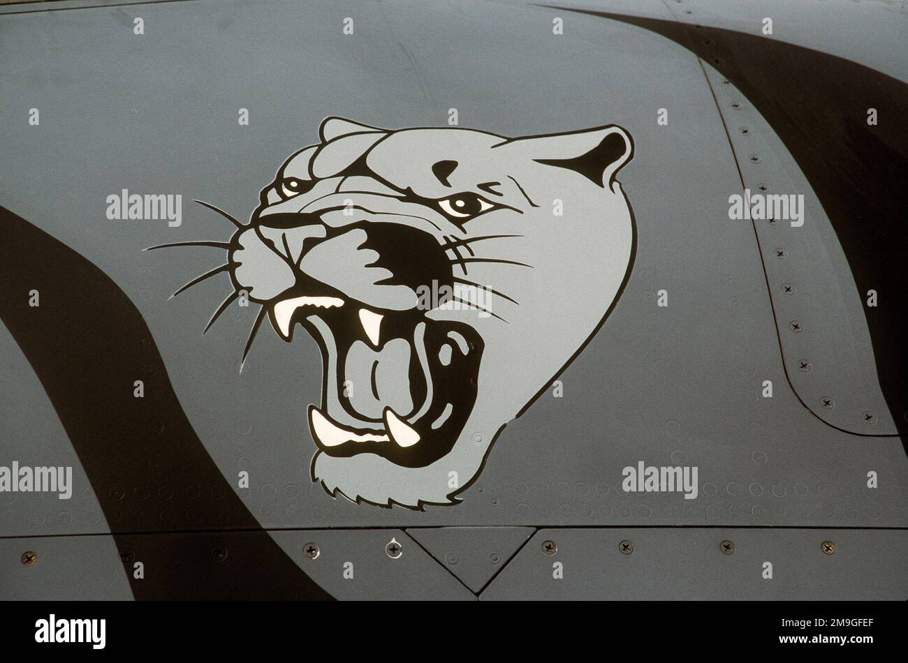 010810-F-7910D-023. [Complete] Scene Caption: Close-up view of the cat ...