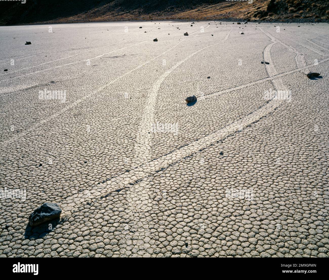 Landscape with trails behind stone in desert, Willcox Playa Wildlife ...