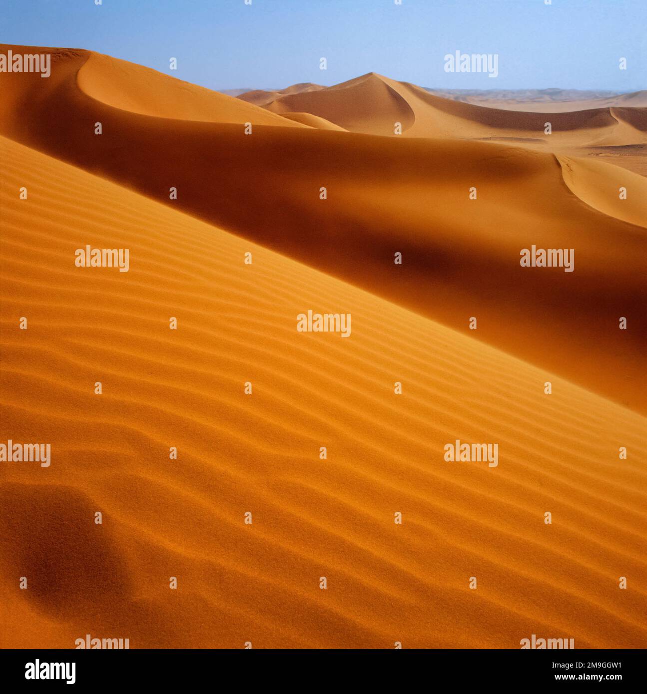 Grand Erg Oriental, Sahara Desert, East Algeria Stock Photo - Alamy