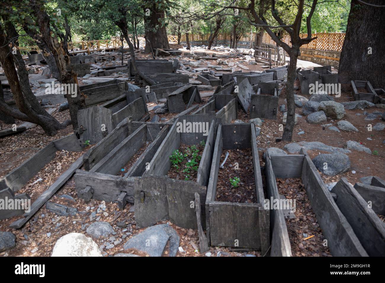 A Kalash traditional cemetery with open wooden tombs, Bumburet Valley ...