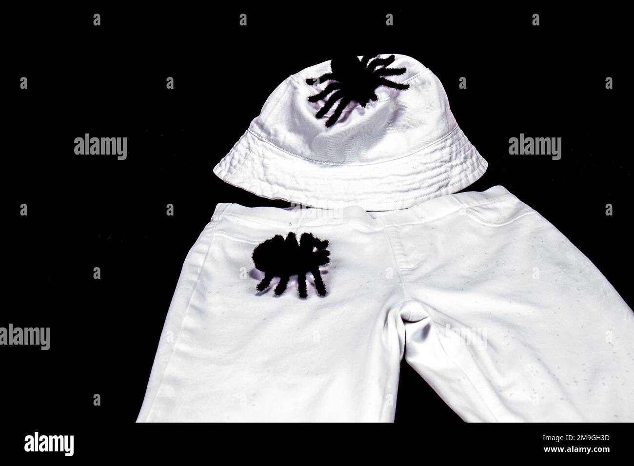 Fake spiders hi-res stock photography and images - Alamy