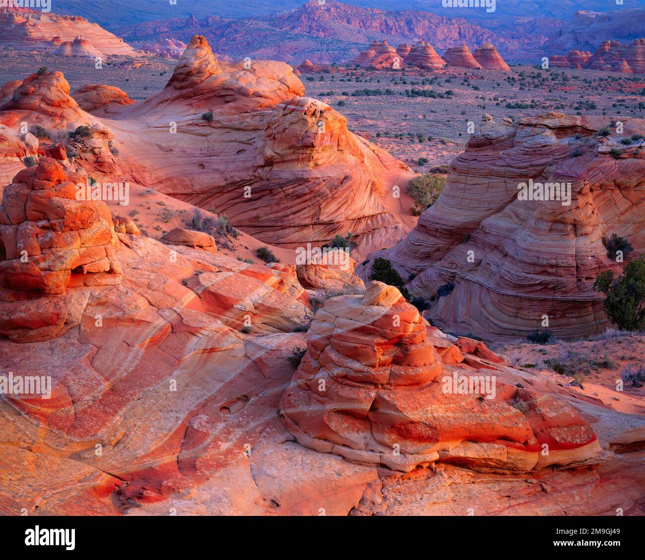 Arid desert area hi-res stock photography and images - Alamy