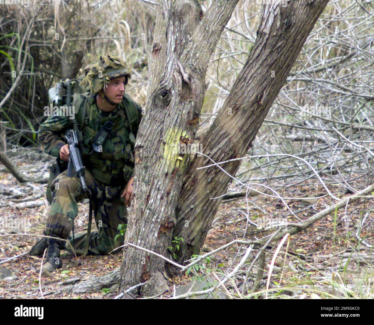 3rd battalion hi hi-res stock photography and images - Alamy
