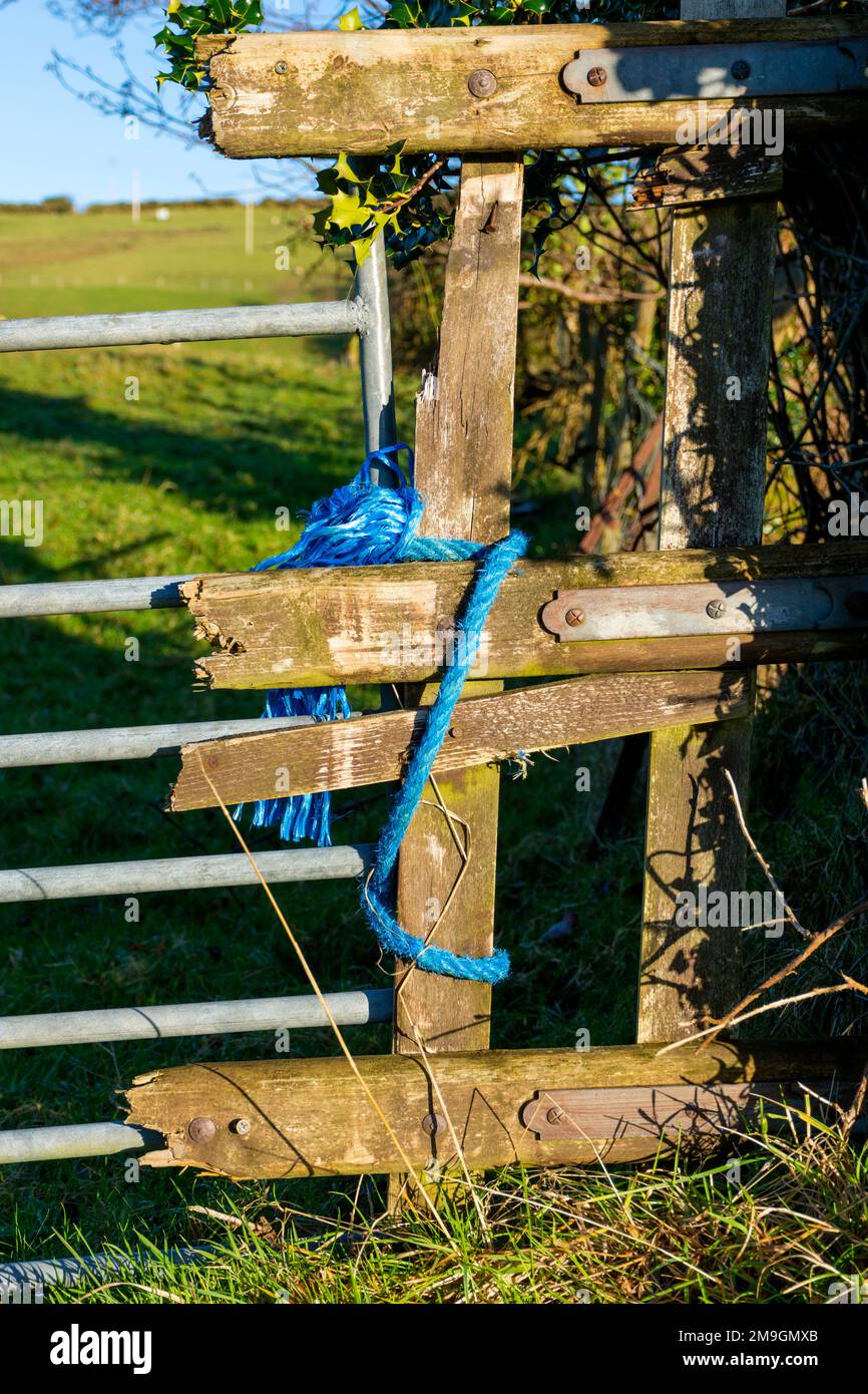 Irish farm gate hi-res stock photography and images - Alamy