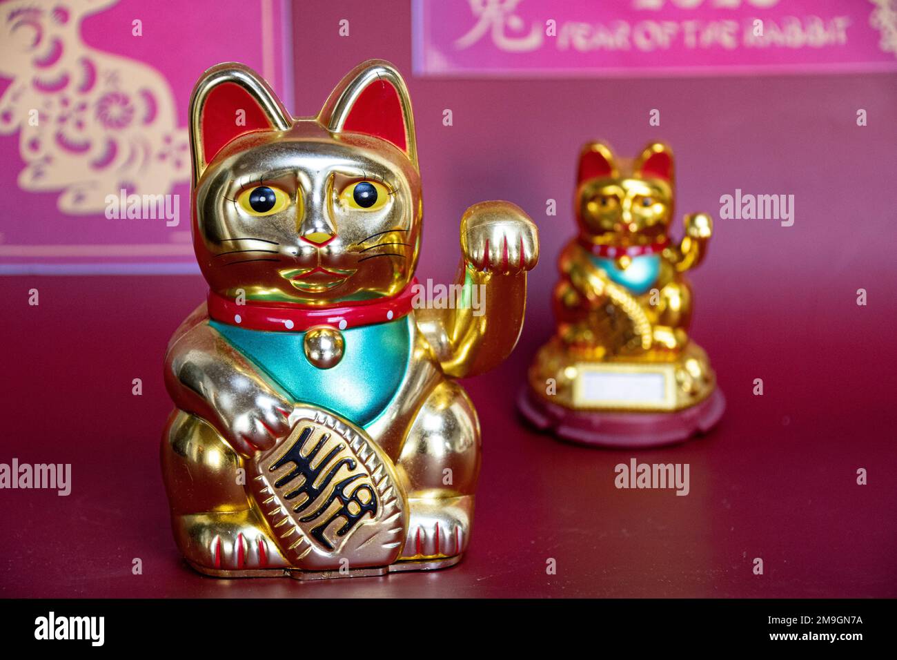 chinese new year 2023 year of the Rabbit with Maneki Neko beckoning cat lucky cat waving Stock ...