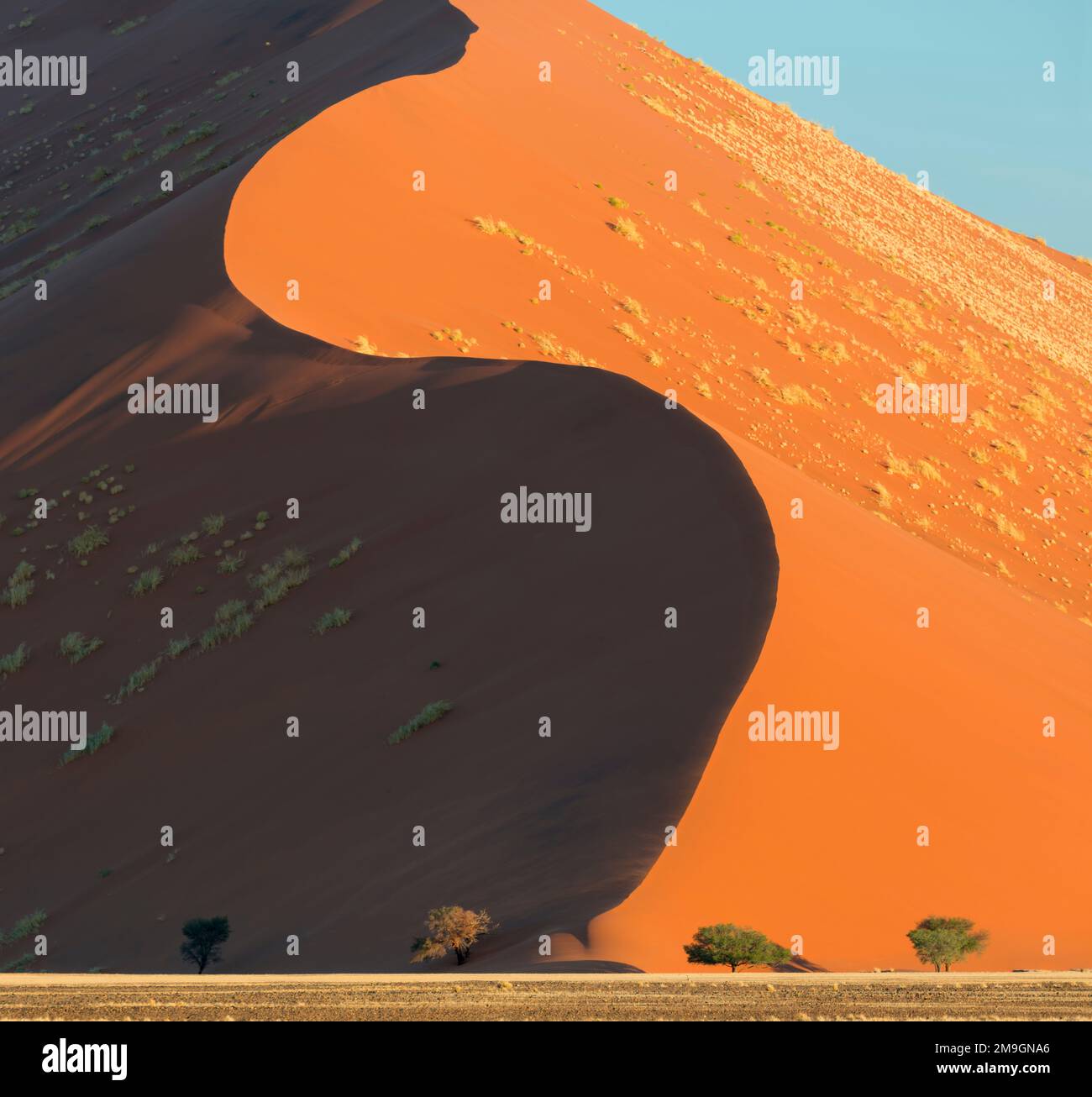 Nature hi-res stock photography and images - Alamy