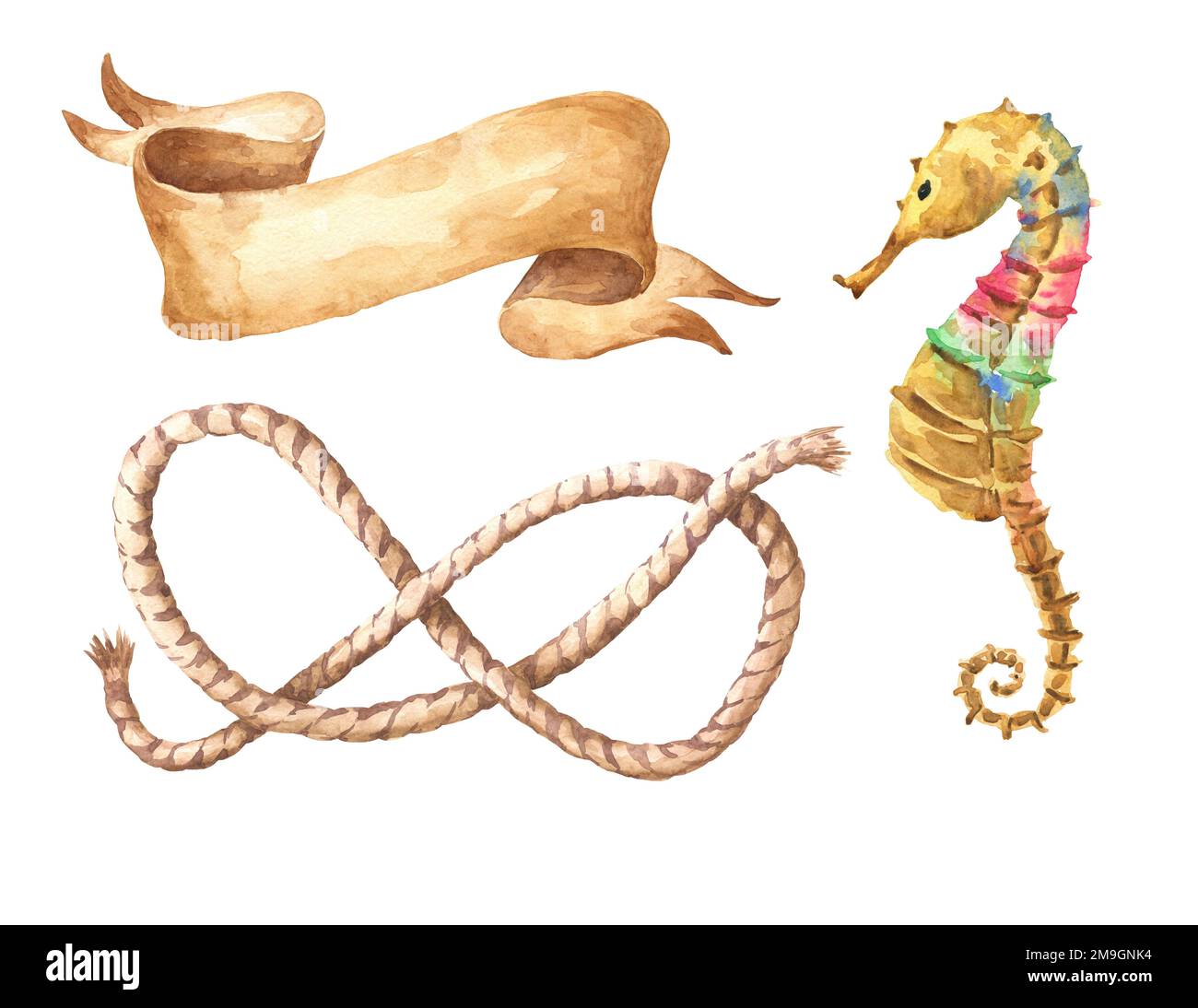 Water knot Cut Out Stock Images & Pictures - Alamy