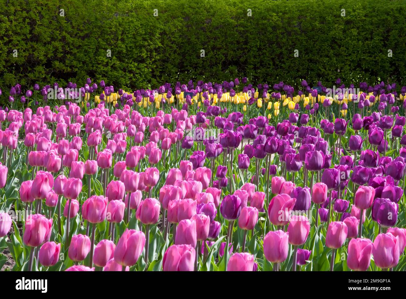 21011 hi-res stock photography and images - Alamy