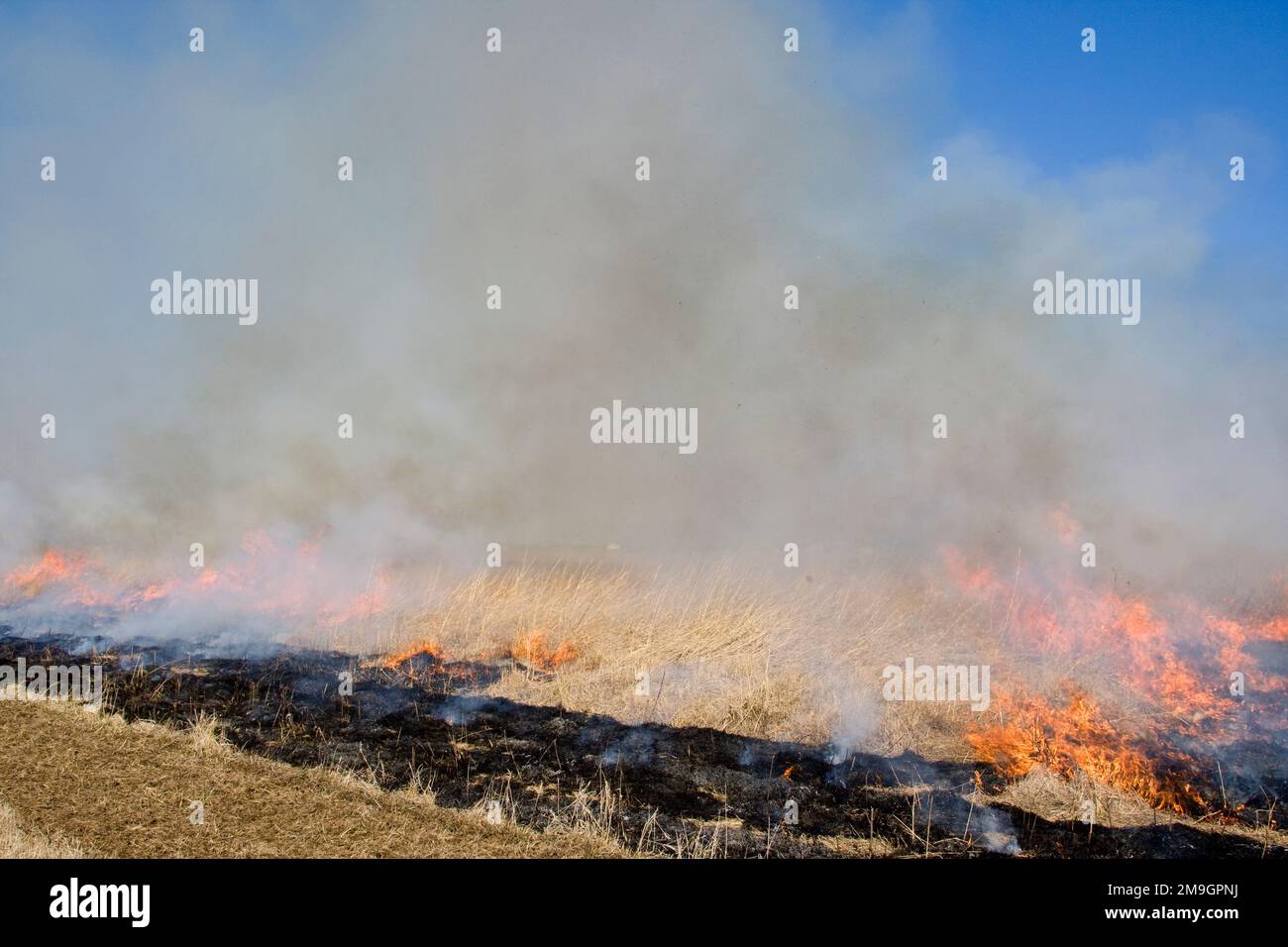 63863-02509 Prairie fire during controlled burn, Prairie Ridge State ...
