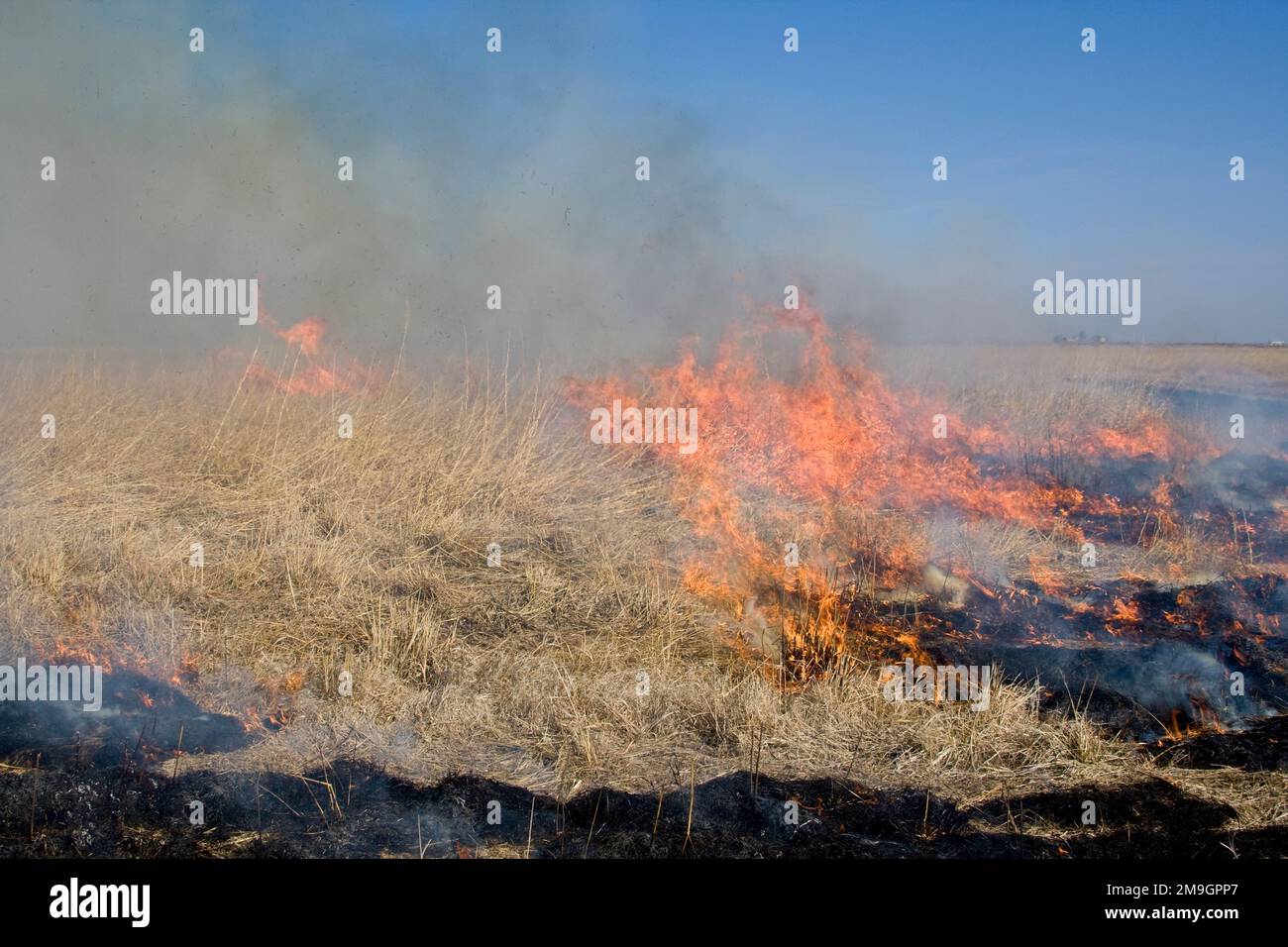 63863 hi-res stock photography and images - Alamy