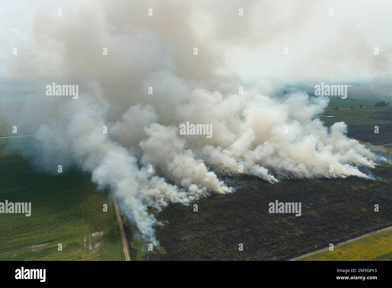 63863-03212 Summer prairie burn at Prairie Ridge State Natural Area ...