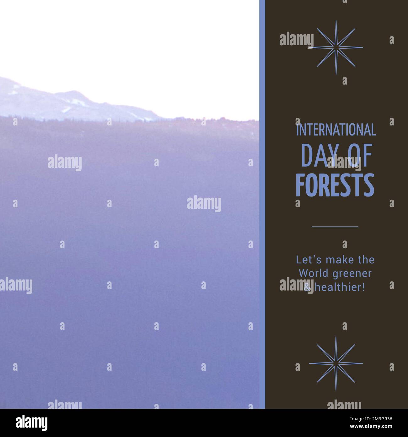 Composition of international day of forests text over forest and ...