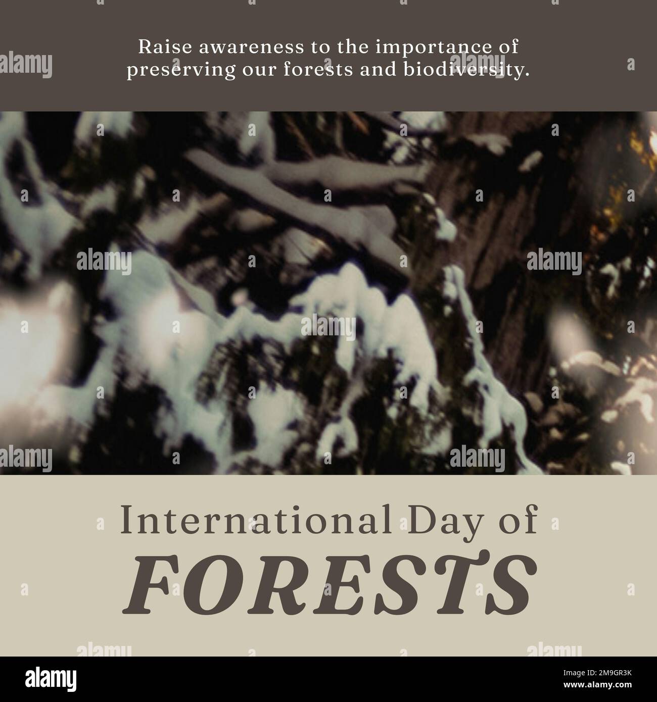 Composition of international day of forests text over forest on brown ...