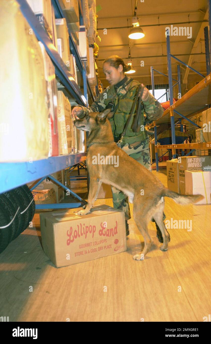 Handler raf hi-res stock photography and images - Alamy