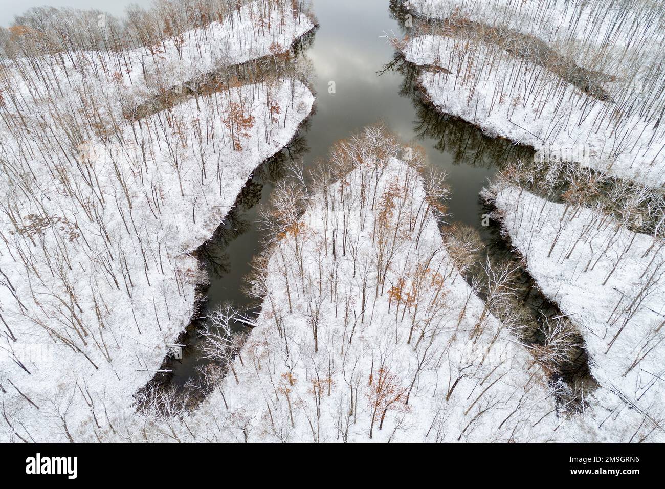 63877-01008 Aerial view of Stephen A. Forbes State Park Lake with snow ...