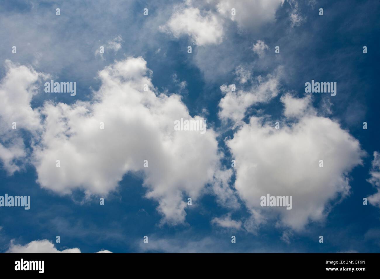 63891 02502 hi-res stock photography and images - Alamy
