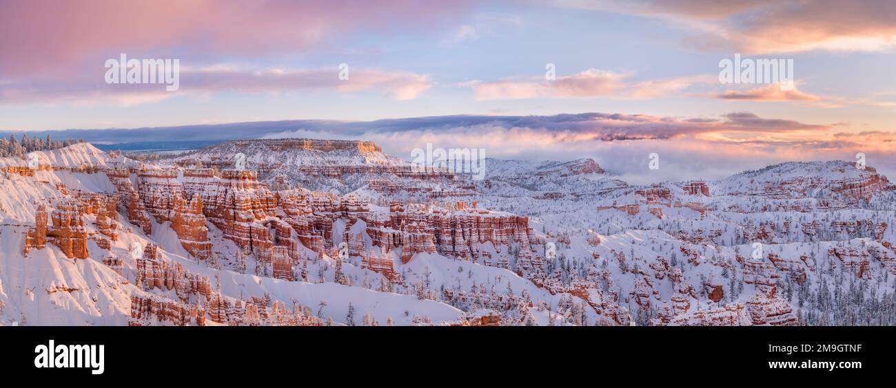 Park in white hi-res stock photography and images - Alamy