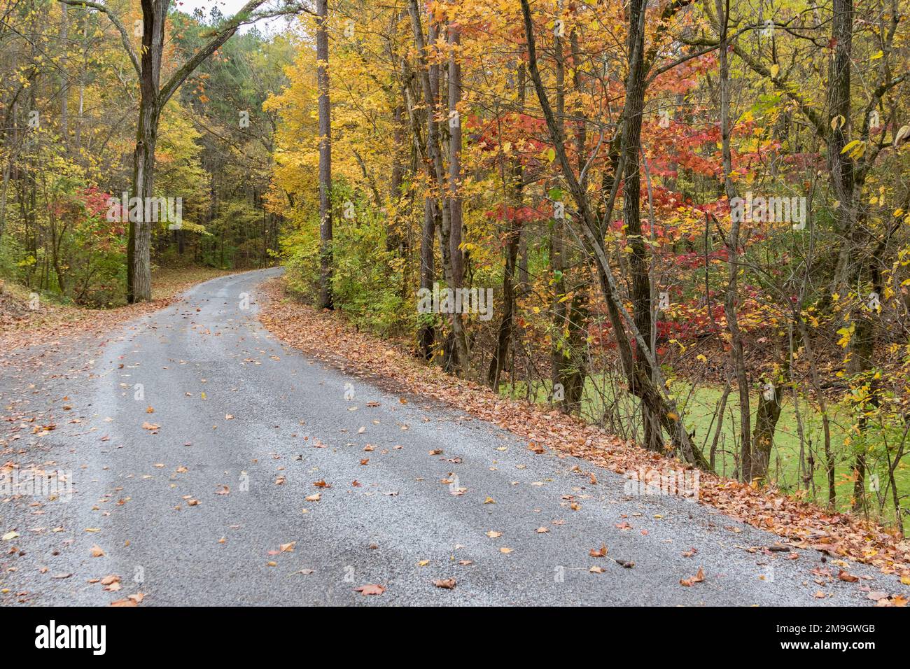 63895-15616 Road and fall color Pyramid Lake State Recreation Area ...