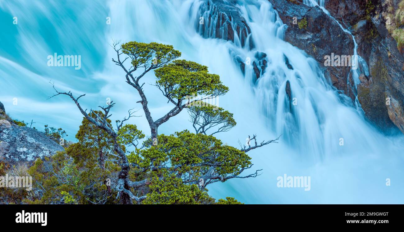 Landscape with waterfalls and green trees, Pascua River, Aysen Province ...