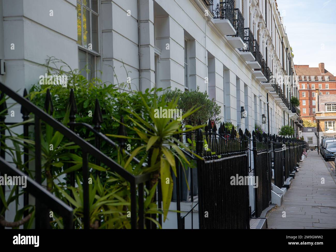 Chelsea, London, UK. 16th June, 2022. Pretty terraced houses in Chelsea ...