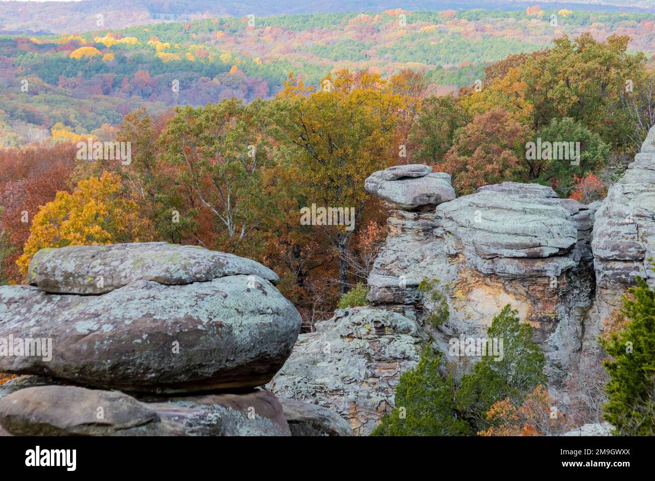 63895-16405 Camel Rock in fall color Garden of the Gods Recreation Area ...